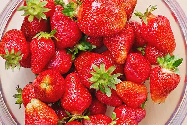 Erdbeere ist nicht immer nützlich - für wen diese Beeren kontraindiziert sind