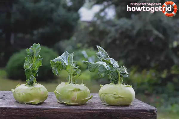 Ինչպես պահել kabbust kohlrabi- ն