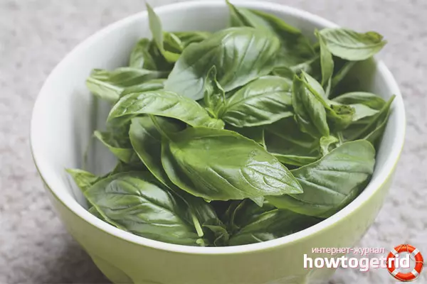 How to keep basil for winter: 6 ways