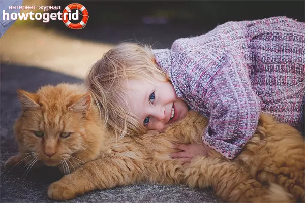 Hokker soarte katten kieze foar in bern