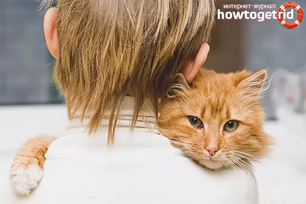 Kinderkatze für Kind