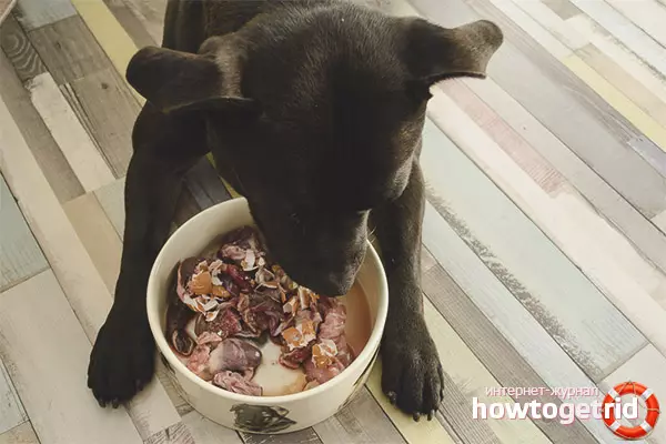 Cara memberi makan anjing dalam makanan alami