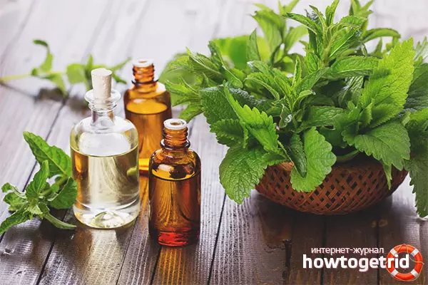 Mint Essential Oil - uporaba in uporaba