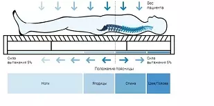 Kvalita spánku a jeho vplyv na zdravie a osobnú produktivitu 1598_2