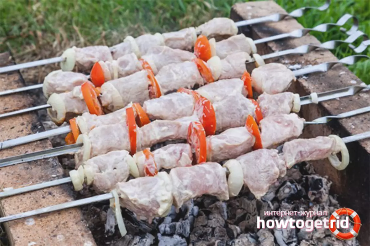 Marinade ó Kefir le haghaidh Kebab