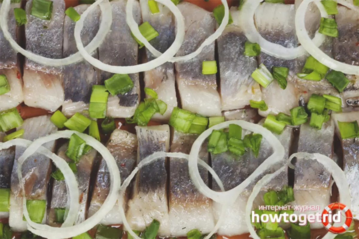 ដុន Herring នៅ Brine