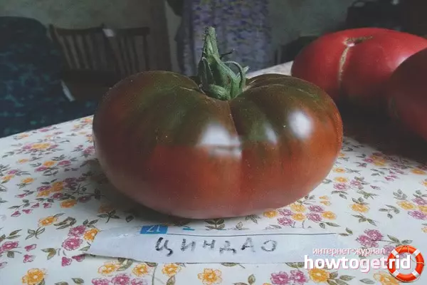 I-Tomato Qingdao