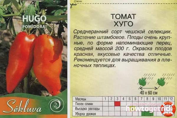 Crescendo tomates tomate hugo