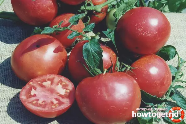 Tomaten Titanic Varietéiten