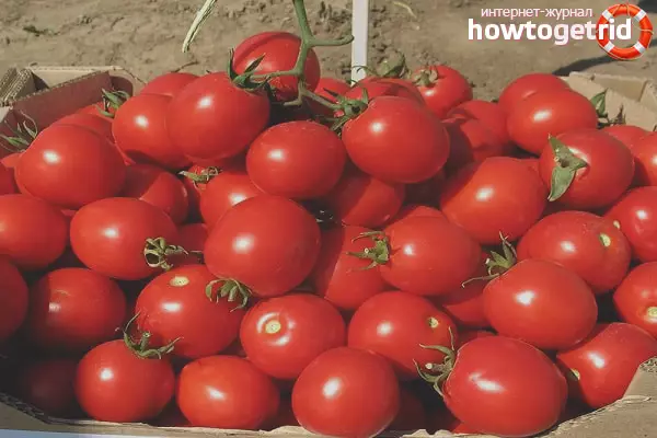 Tomate e hlophisa polelo e ka leboea