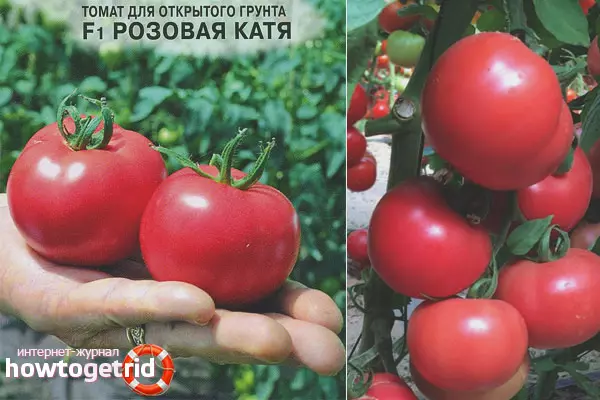 Tomato Pink Katya F1