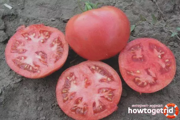 Tomato Rosal F1.