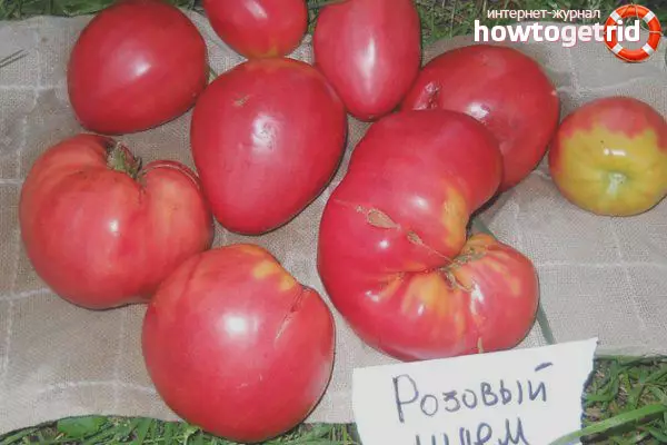 Tomato Pink Helmet