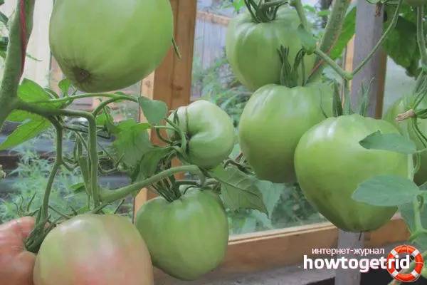 Casco rosa di grado di pomodori