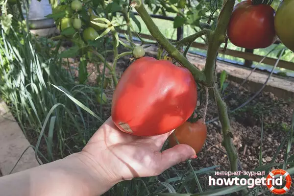 Tomaten flaming Häerz