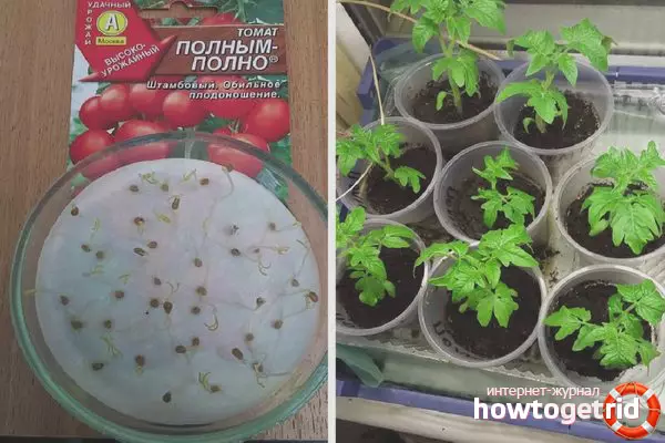 Mga Tampok sa Tomato Agrotechniki nga puno