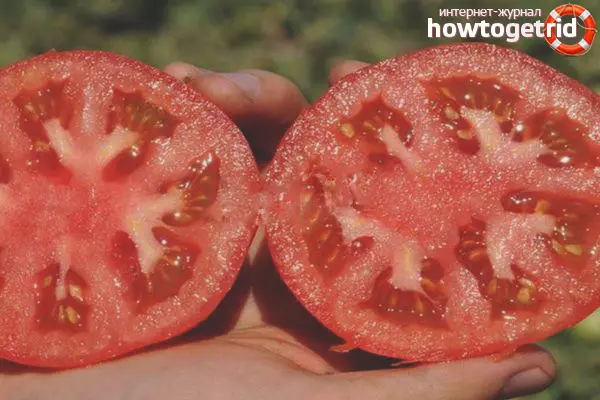 Tomatos Gradd Polonaise F1