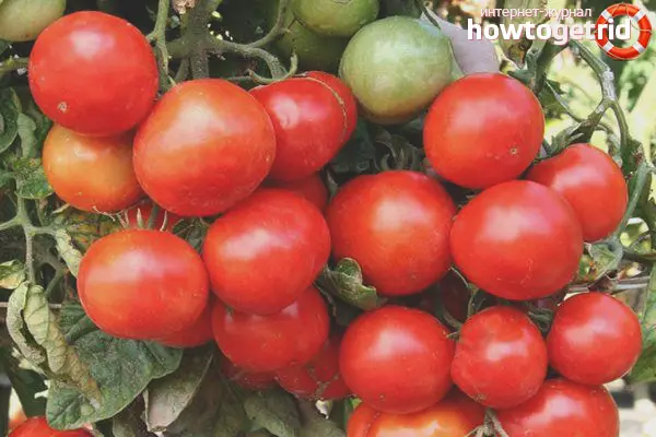 Tomato Glacier