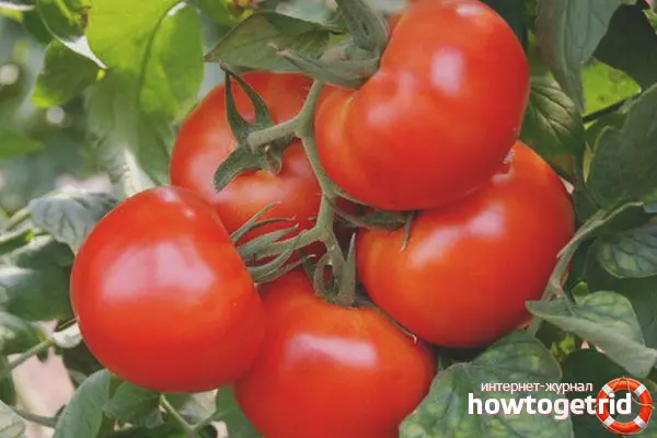 Tomato King Market.