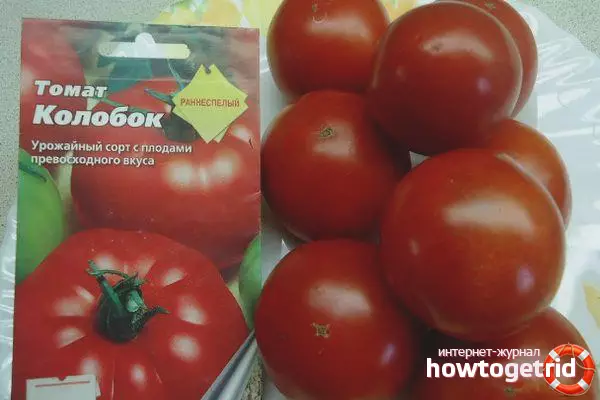 Tomato Kolobok - popis a charakteristiky odrody