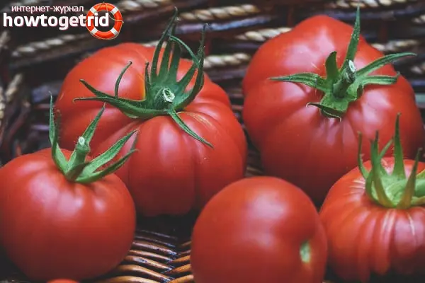 Tomato Yenisei.