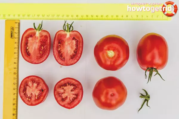 O tempo de amadurecimento e frutificação dos tomates do grande