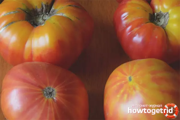 Tomato BIG RAINBOW