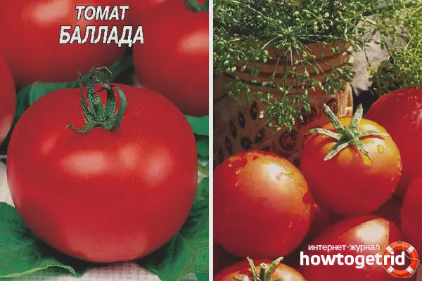 Tomato ballad.