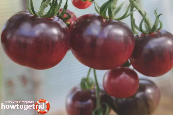 Tomato Amethyst Jewel.