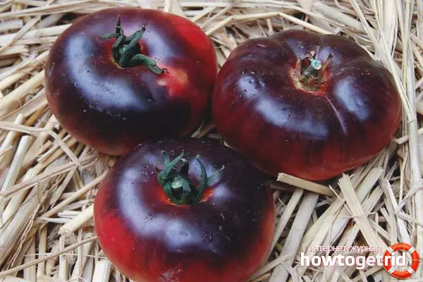 Keterangan buah-buahan tomato amethyst permata