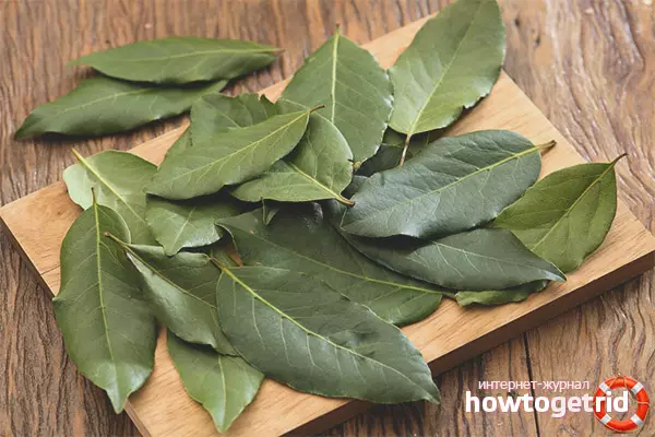 Cara mengeringkan daun teluk