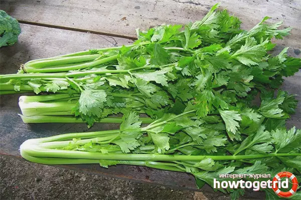 ការផ្ទុកស្លឹក celery