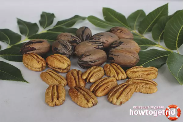 Nutritionional Nut Pacan