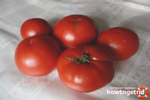 Tomato de Snezhana - descrição e características da variedade