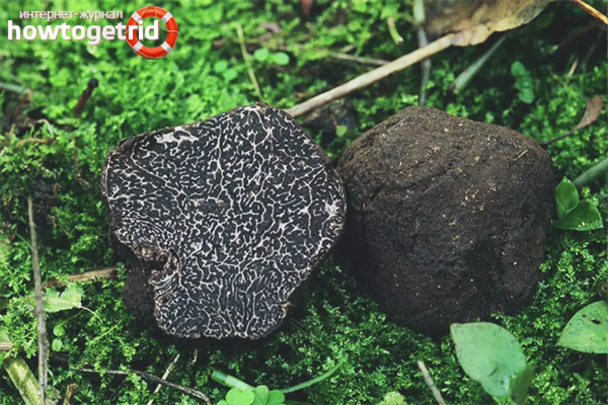 Truffle dubh