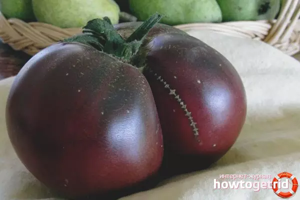 Tomate Brandivine Negru - descrierea și caracteristicile varietății