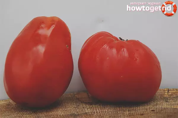 Tomato Boat - Danasîn û taybetmendiyên cûrbecûr