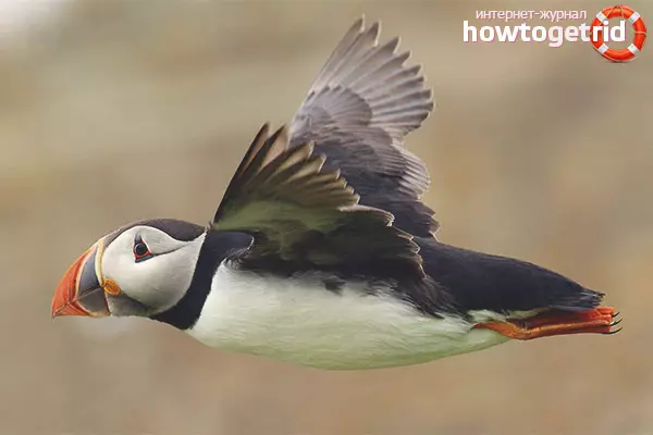 서식지는 교착 상태입니다