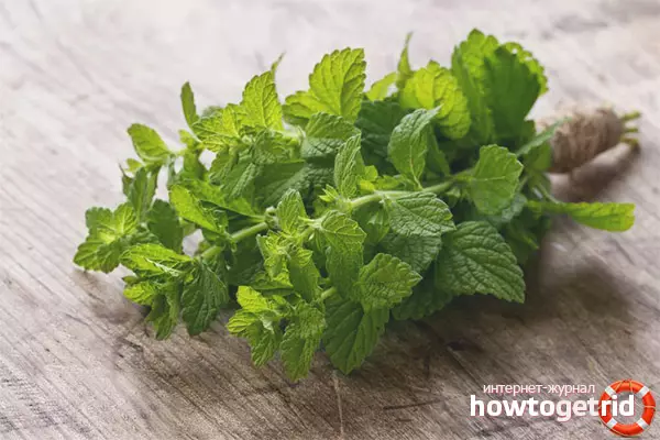 Mint nekuyamwisa