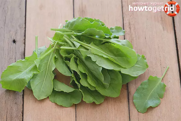 Sorrel amb lactància materna