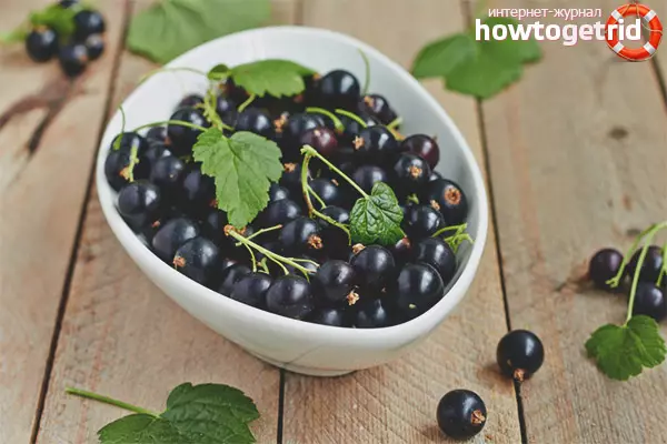 Currant beltza edoskitzearekin