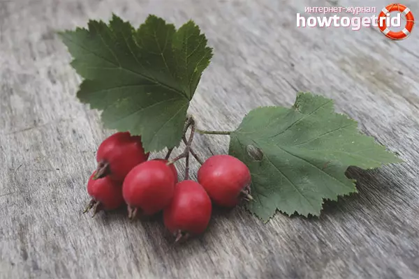 Hawthorn tydens swangerskap