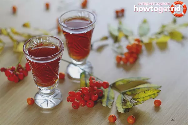 Tincture Red Rowan