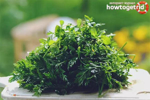 Resep berguna dengan daun wortel