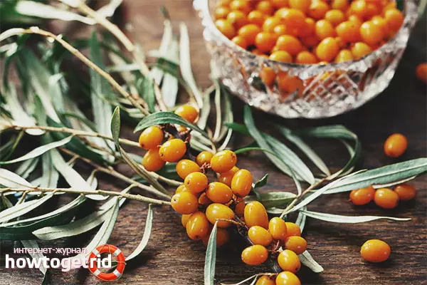 Sea buckthorn during pregnancy