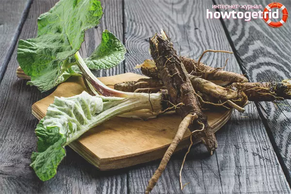 Therapeutic eiginleika og frábendingar rót Burdock