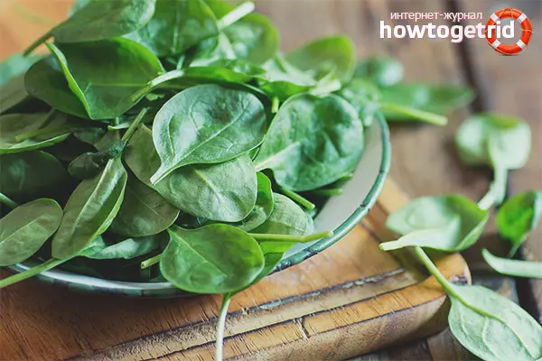 Useful properties and contraindications of spinach