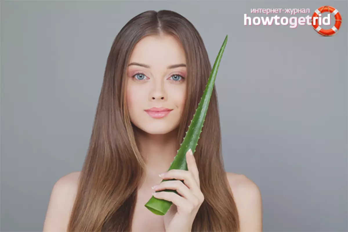 Aloe untuk rambut yang lemah dan kering