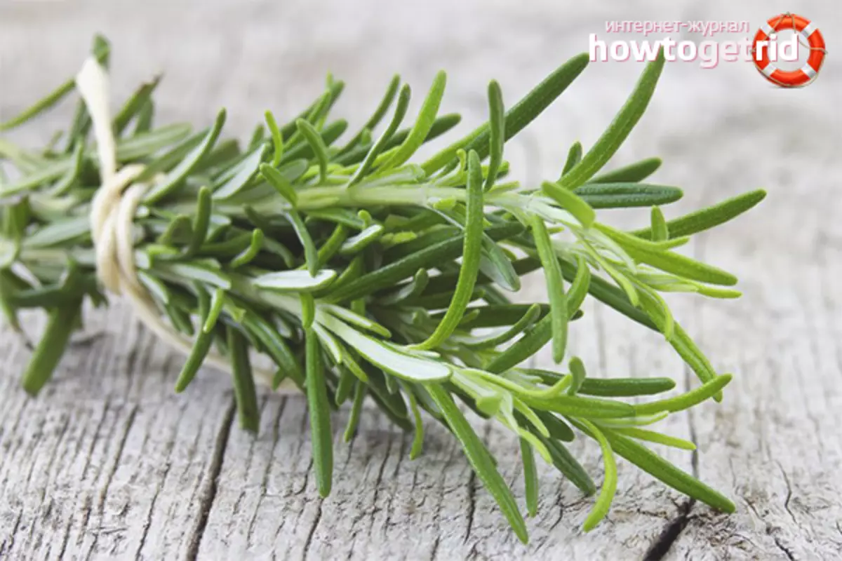 ការប្រើថ្នាំ rosemary