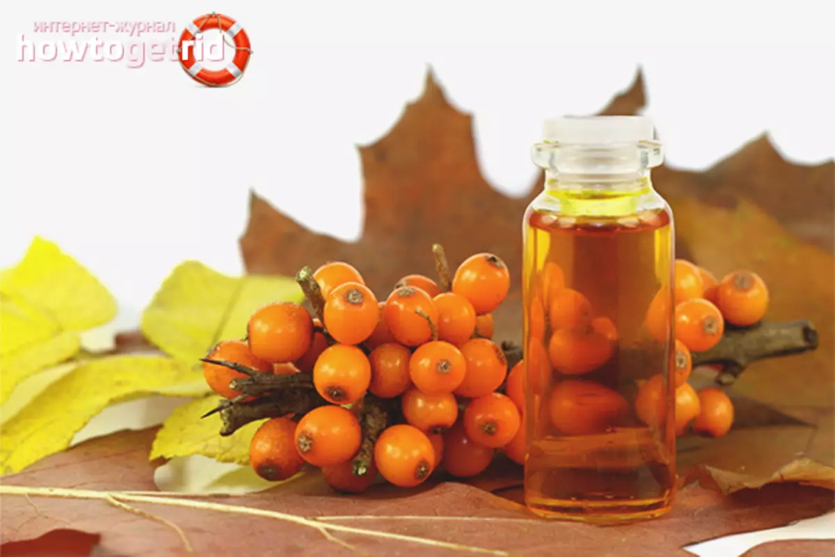 ម៉ាស៊ីនត្រជាក់សមុទ្រ buckthorn